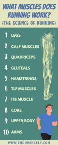 What Muscles Does Running Work? (The Science of Running)