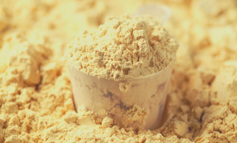 9 Best Vegan & Plant-Based Protein Powders (2023 Review)