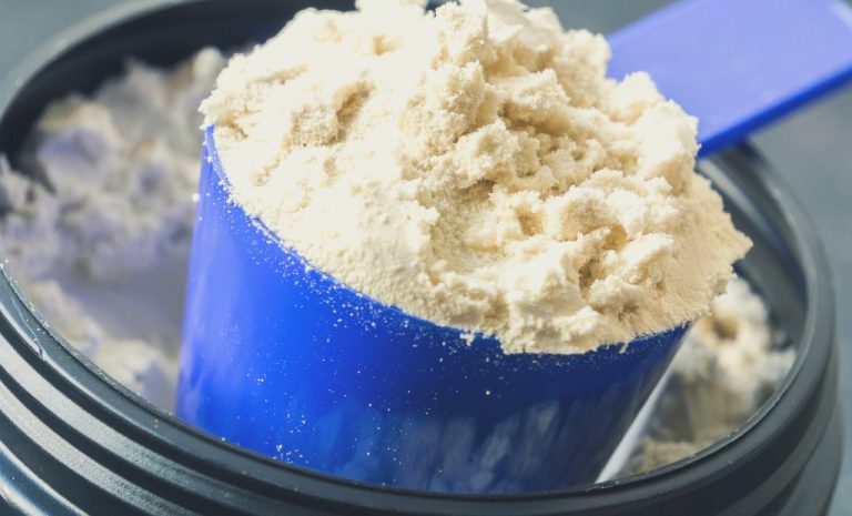 5 Best Paleo Protein Powders (2024 Review)